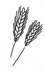 Bienvenue à la Brasserie Duyck • Brasserie Duyck